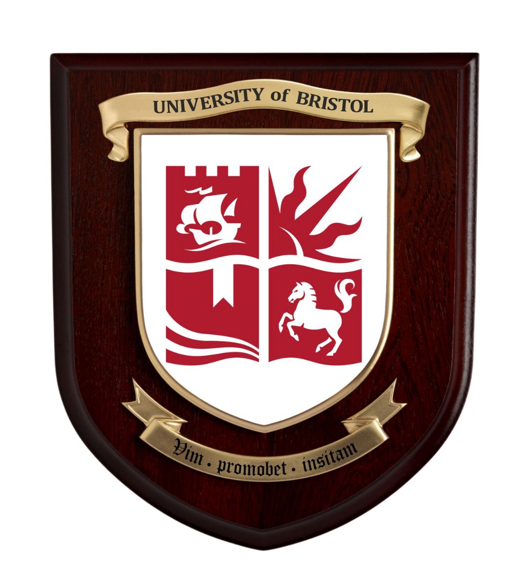 Gifts – Bristol SU Shop