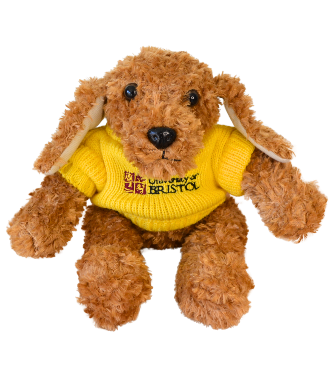 Floppy Dog – Bristol SU Shop